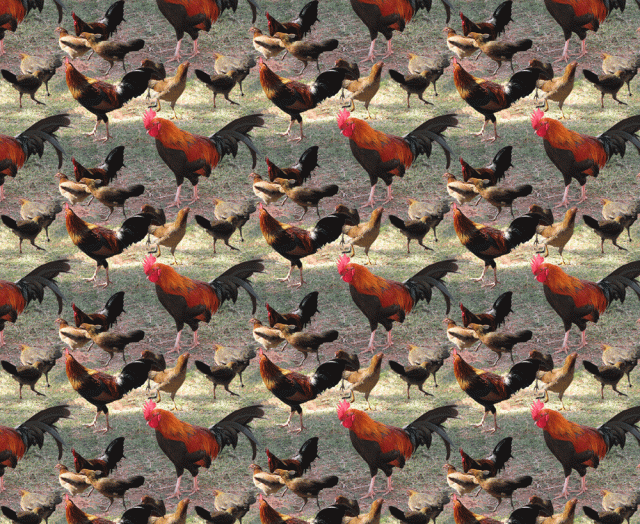 How to Create a Seamless Repeat in Photoshop Elements – Part 2 | Color ...