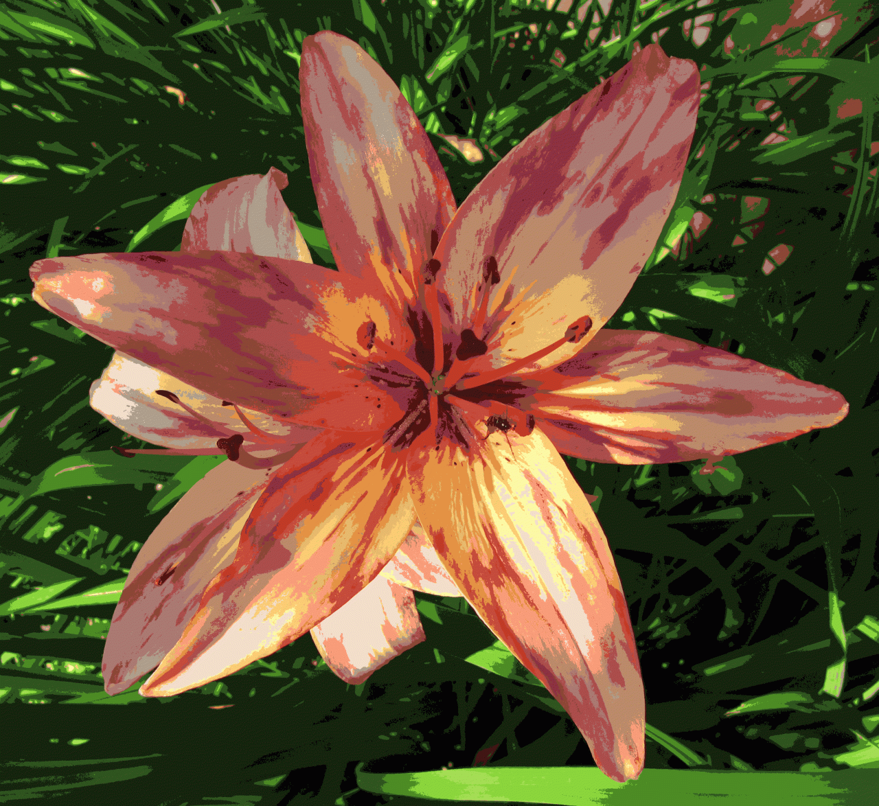 Color Reducing a Design Using Photoshop Elements | Color On Cloth