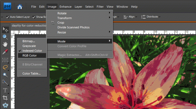 Color Reducing a Design Using Photoshop Elements | Color On Cloth