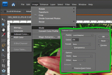 Color Reducing a Design Using Photoshop Elements | Color On Cloth