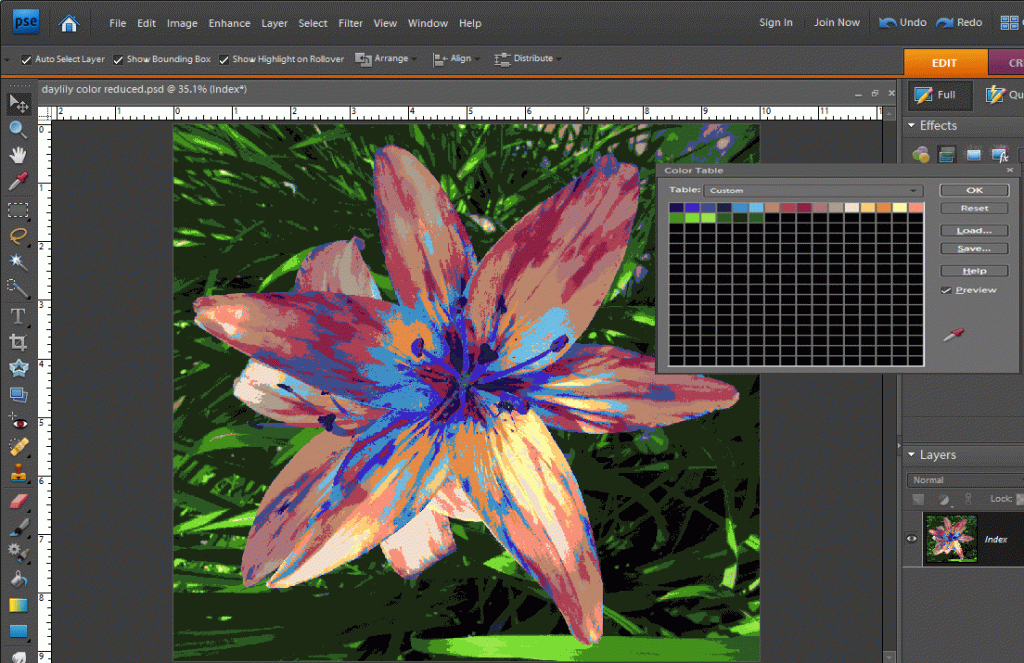 Color Reducing a Design Using Photoshop Elements | Color On Cloth